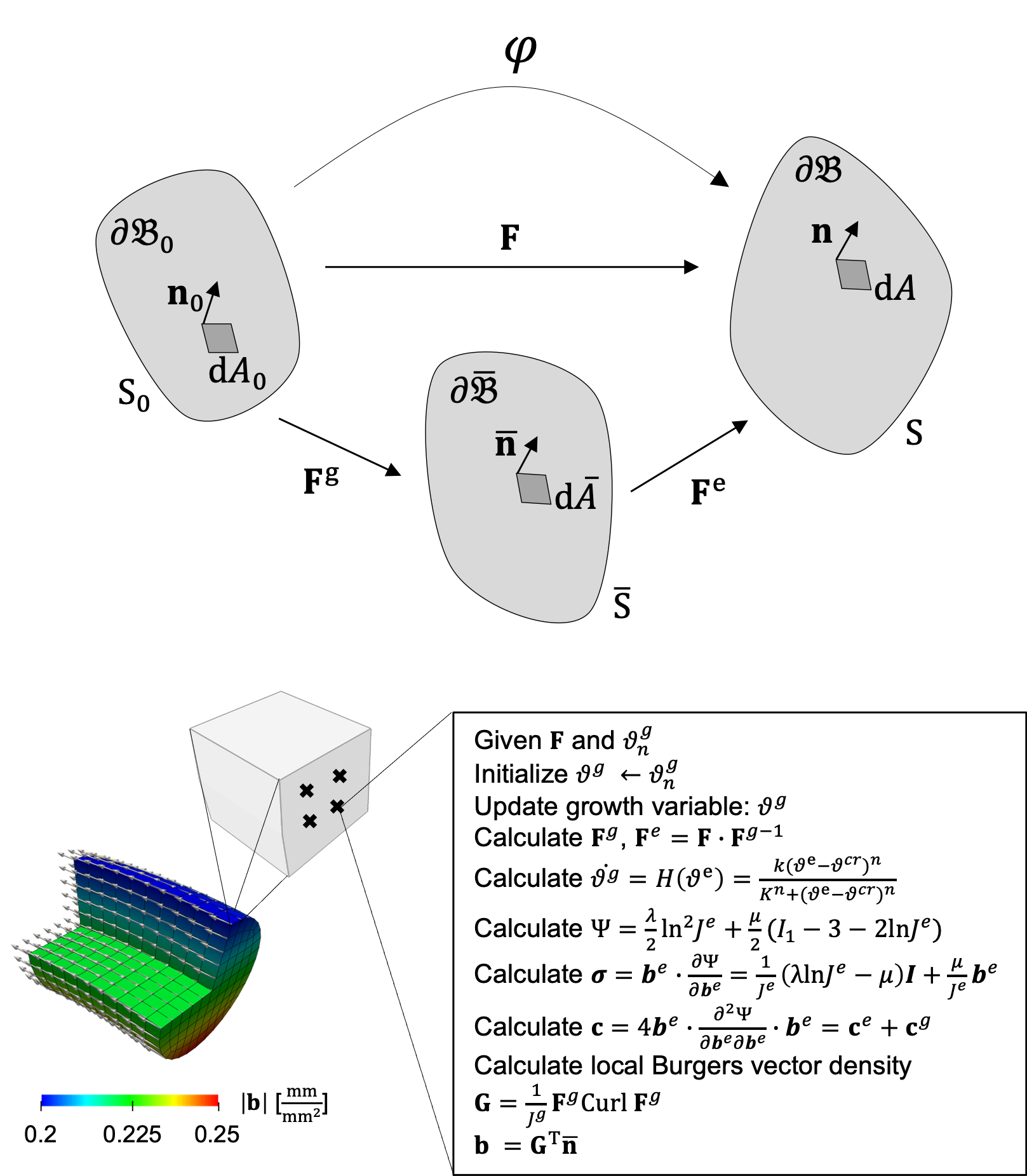 Research - Predictive Modeling and Computational Biomechanics Lab