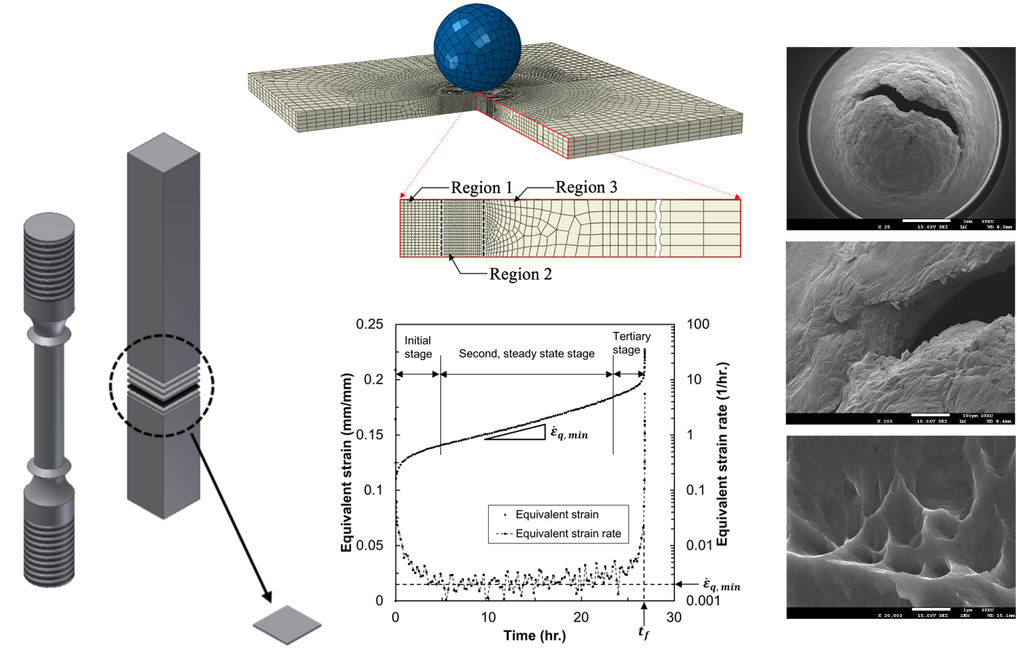 Research - Predictive Modeling and Computational Biomechanics Lab
